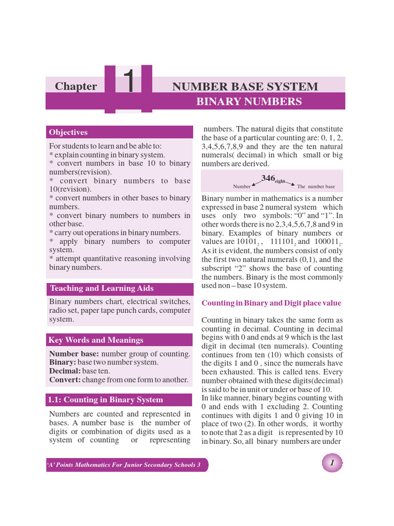 APM J3 CHP1 Binary Number | PDF