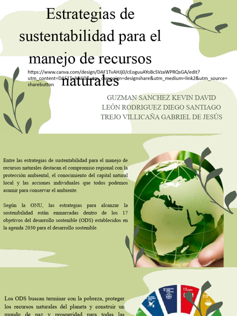 Estrategias de Sustentabilidad para El Manejo de Recursos Naturales | PDF