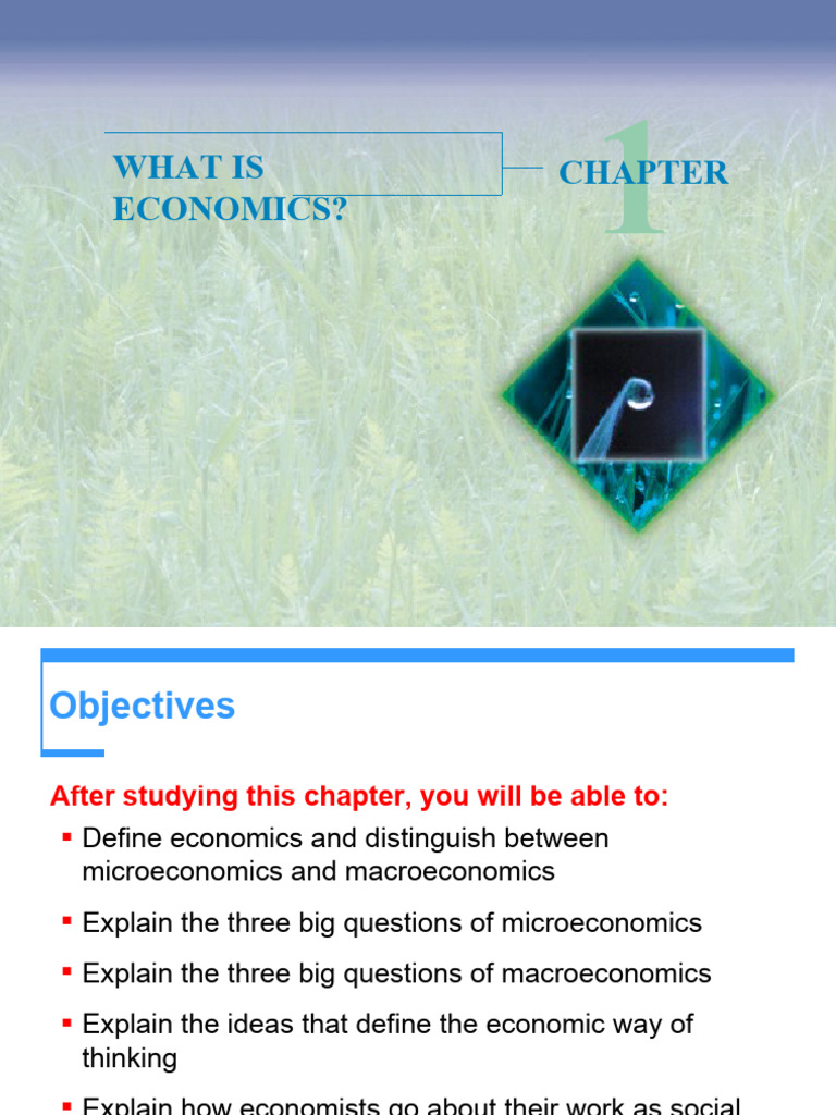Introduction to Economics Basics | PDF | Cost Of Living | Macroeconomics