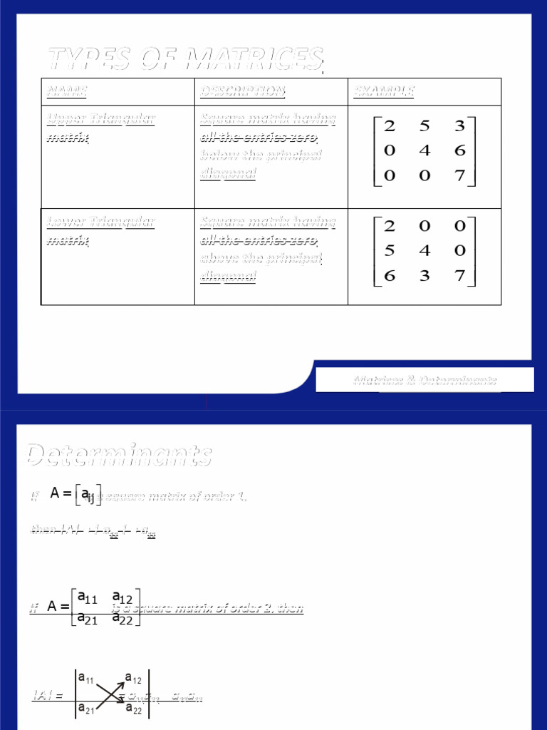 CHP 1 Matrices Determinants1 | PDF | Matrix (Mathematics) | Determinant