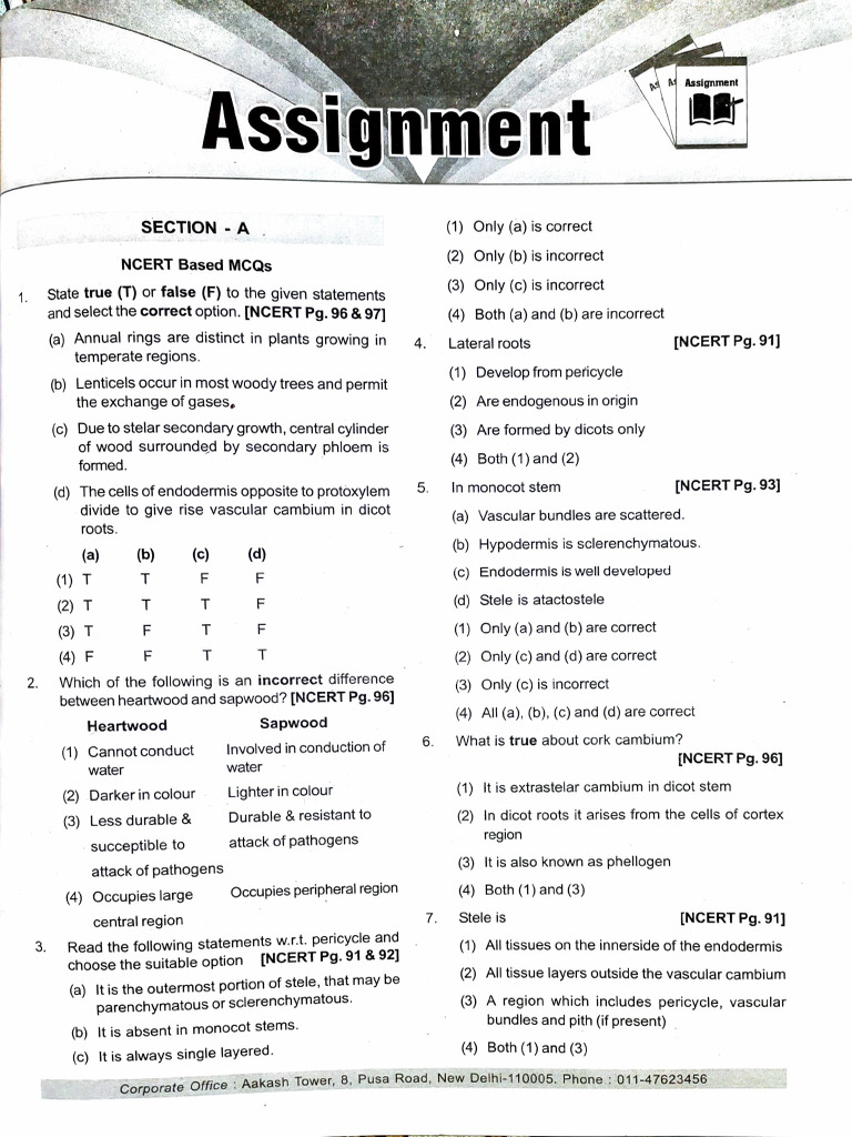 Anatomy of Flowering Plants | PDF