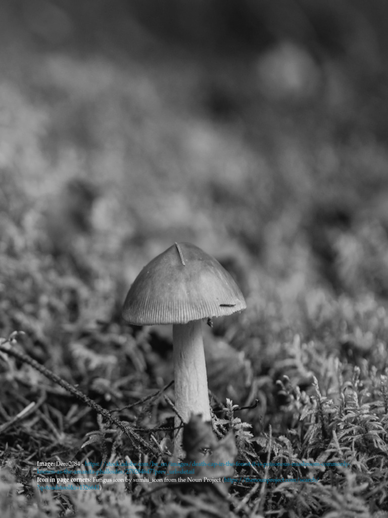 Chapter 2 - Post Normal Science How Does It Resonat - 2020 - Science ...