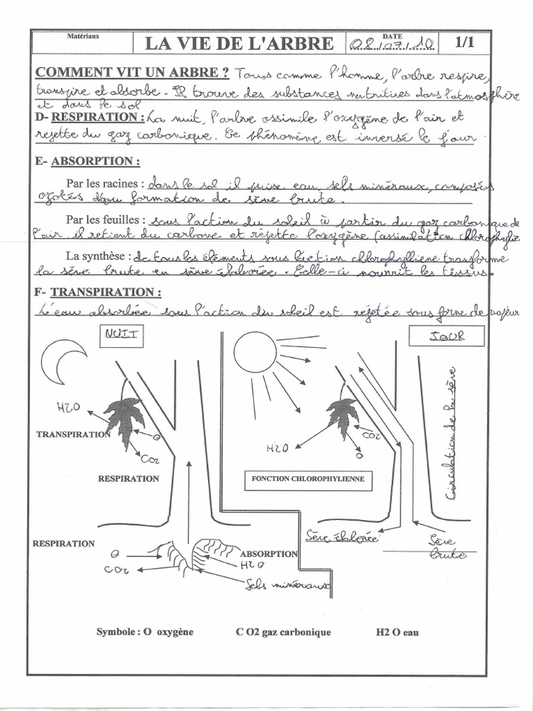 1 - La Vie de L'arbre | PDF