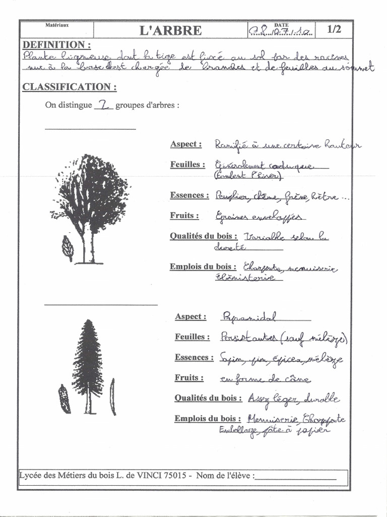 2 - L'arbre | PDF
