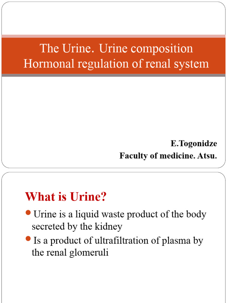 Urine Composition and Hormonal Regulation | PDF | Kidney | Urine
