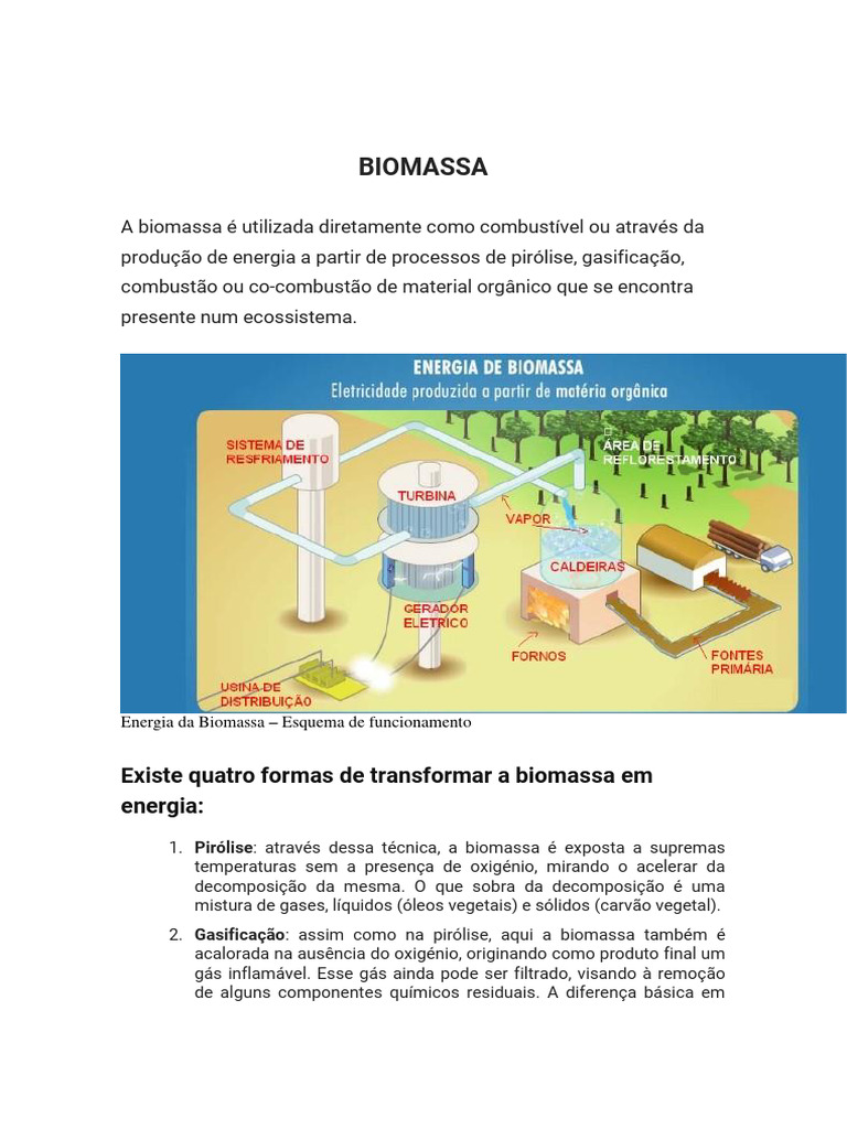 A Biomassa | PDF