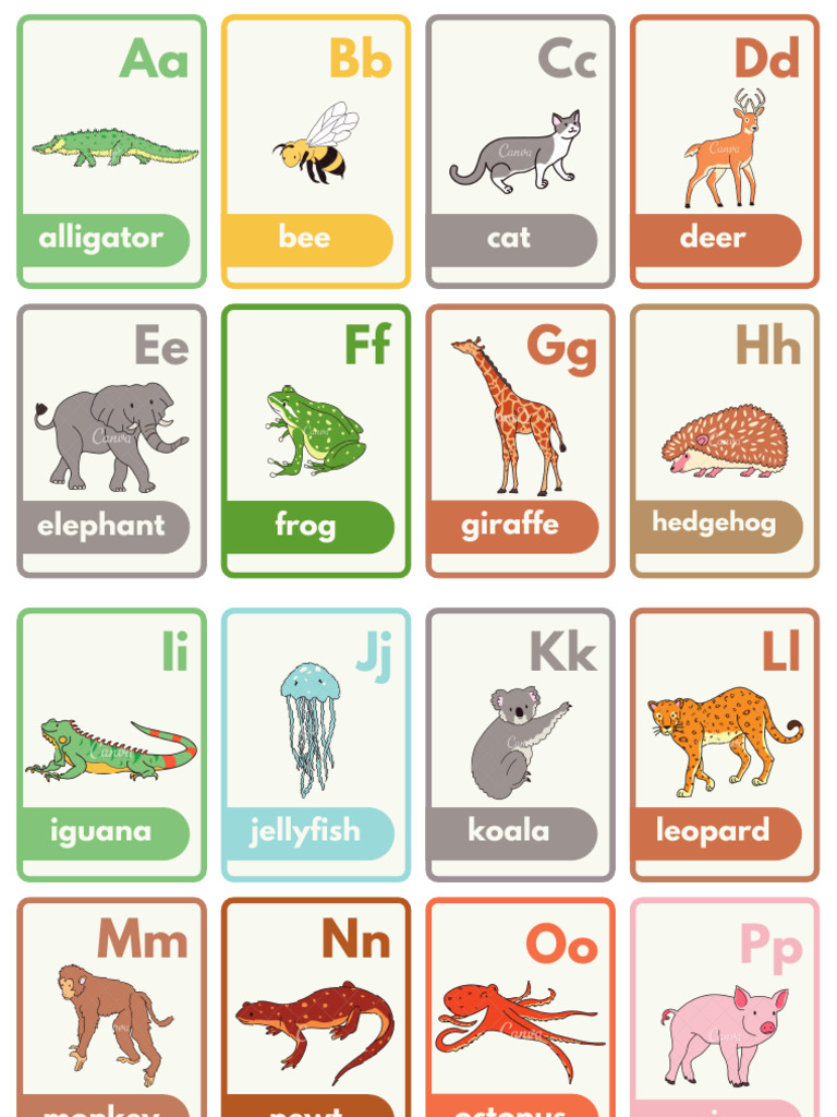 Animals Lined Illustration Flashcard Sheets | PDF | Young Adult