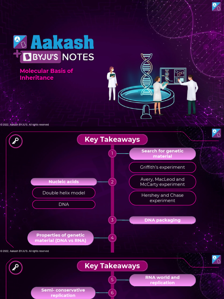 Notes - Molecular Basis of Inheritance | PDF