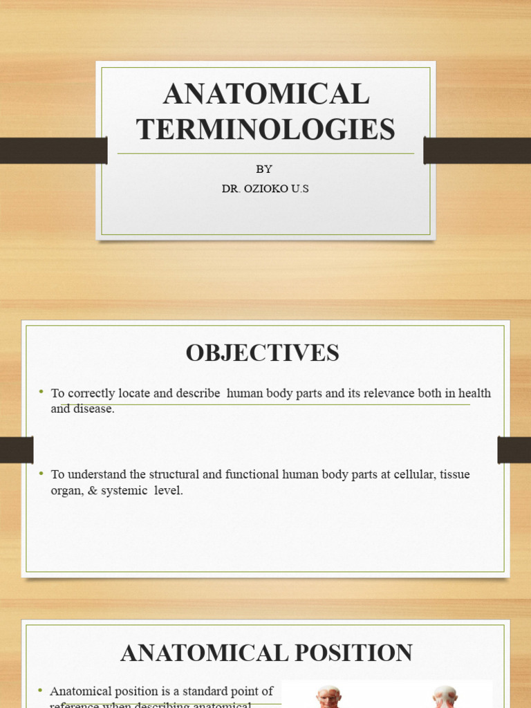 Anatomical Terms | PDF | Anatomical Terms Of Motion | Anatomical Terms ...