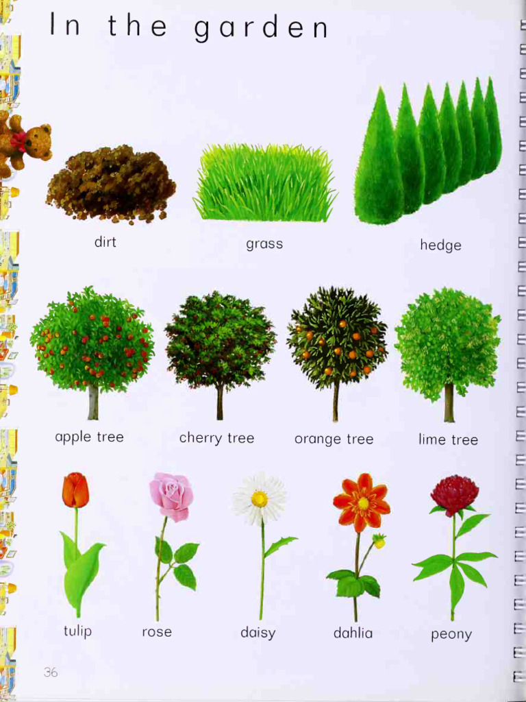 ⁨431170184-SCHOLASTIC-FIRST-PICTURE-DICTIONARY-pdf⁩ - تم التصدير 19 | PDF