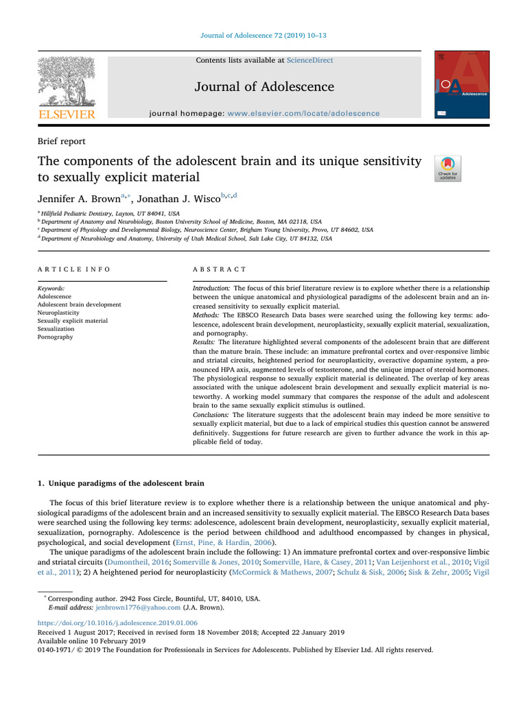 The Components of The Adolescent Brain and Its Unique Sensitivity To Sexually Explicit Material ...