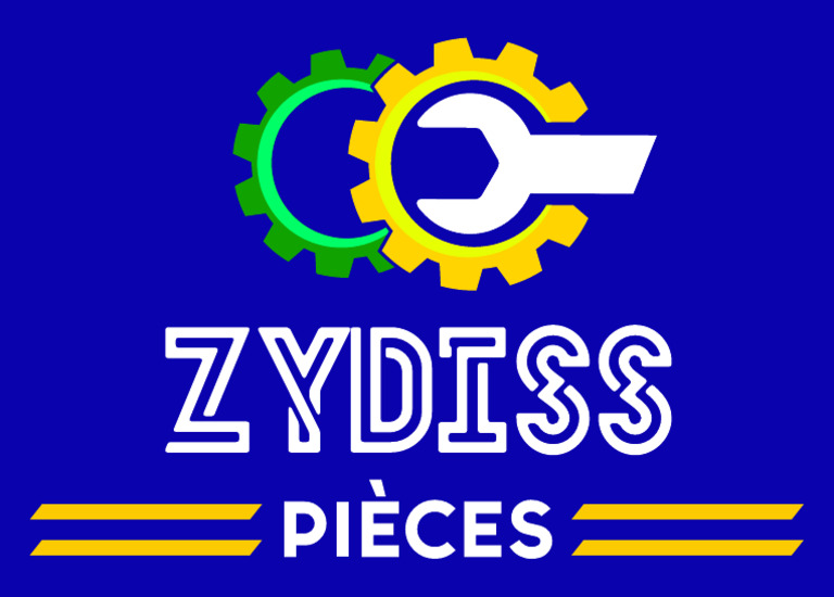 Logo Zaydiss | PDF