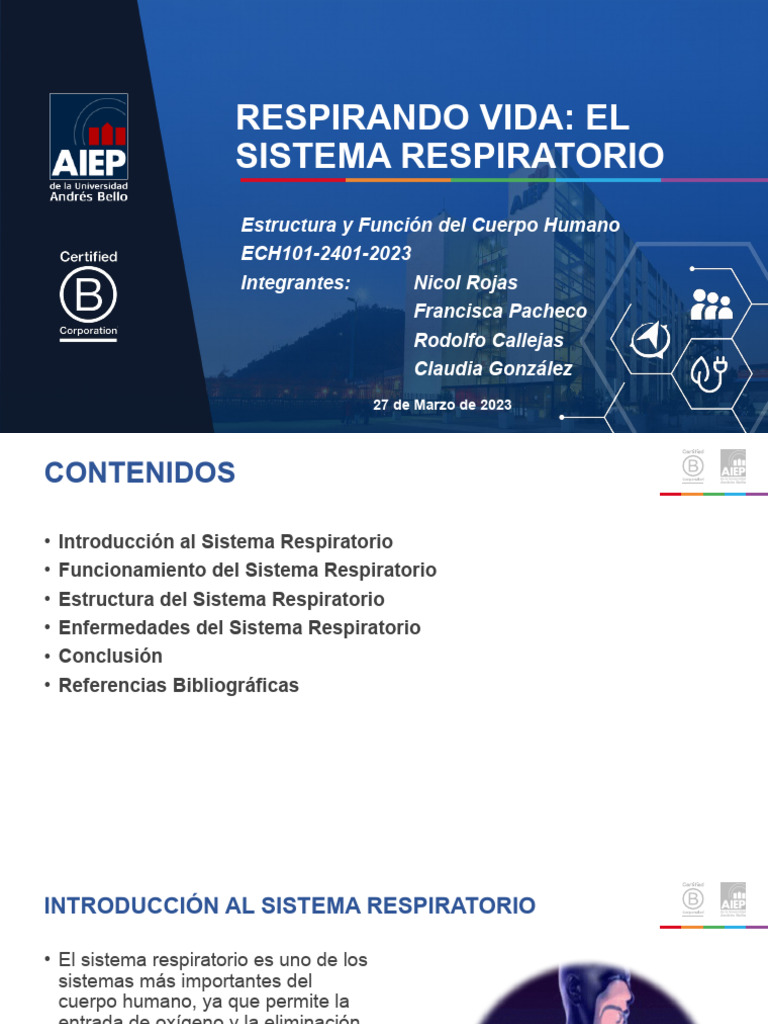 Sistema Respiratorio | PDF | Sistema respiratorio | Pulmón