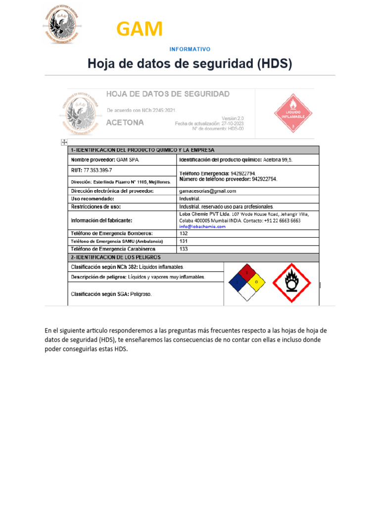 Informativo-Como Hacer Una HDS 1 | PDF | Derecho