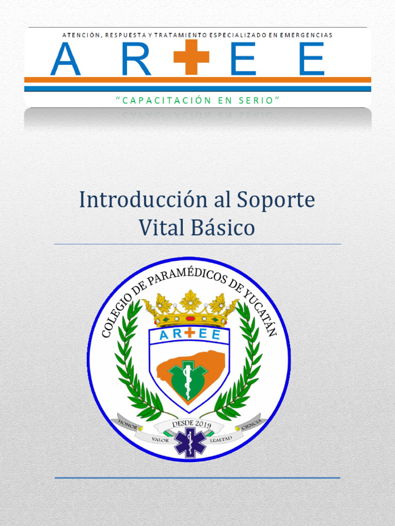 Introducción Al SVB PAMP-B | PDF | Sangre | Pulmón