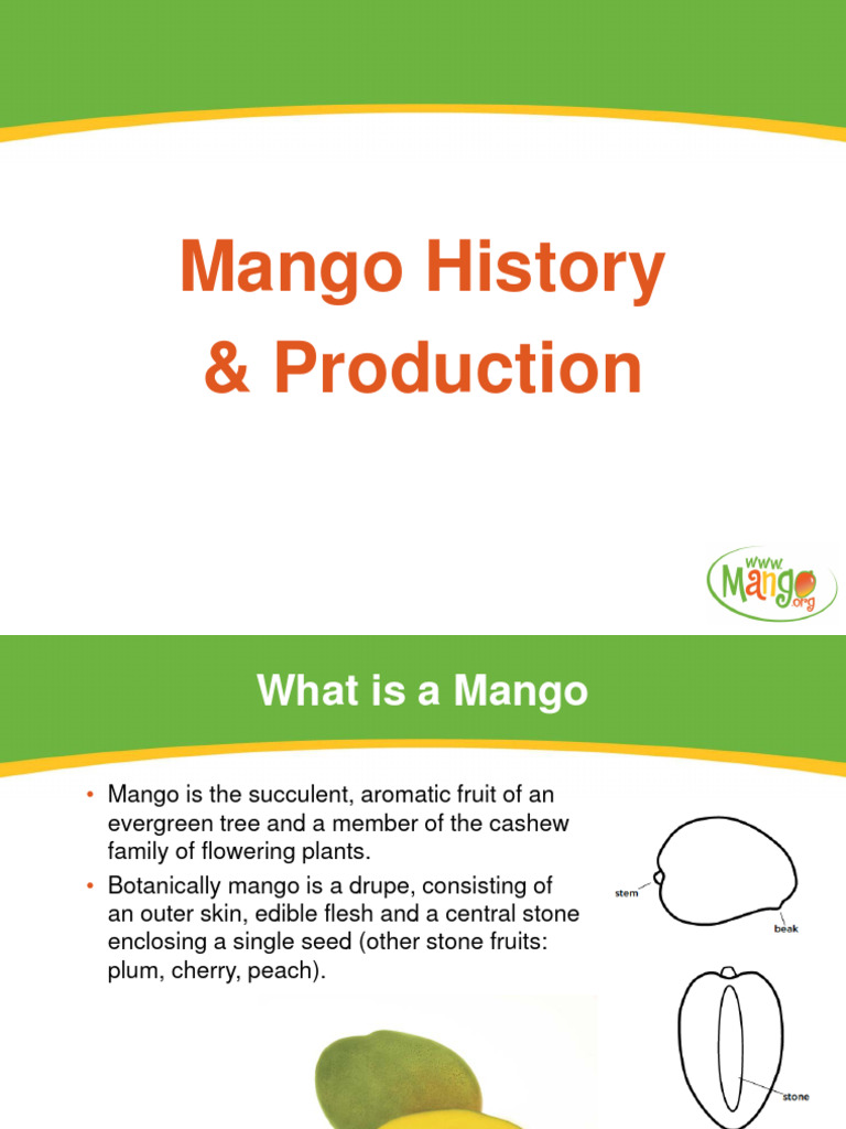 Mango History Production Lesson 1 010614 | PDF