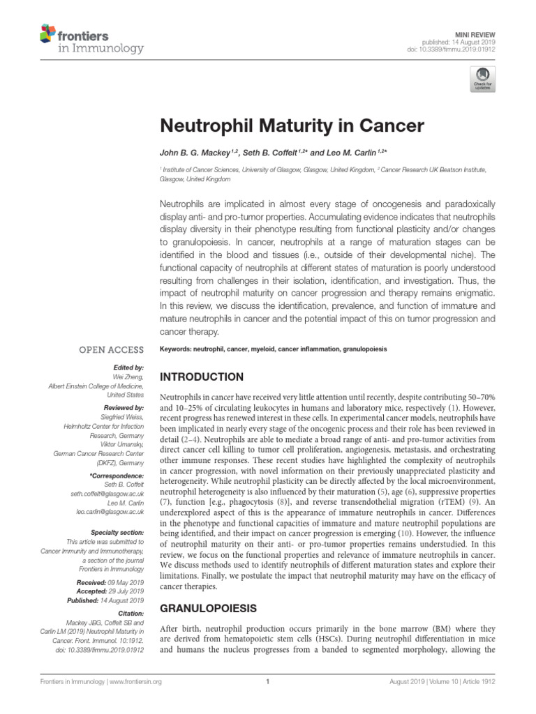 Neutrophil Maturity in Cancer | PDF | Reactive Oxygen Species | Granulocyte