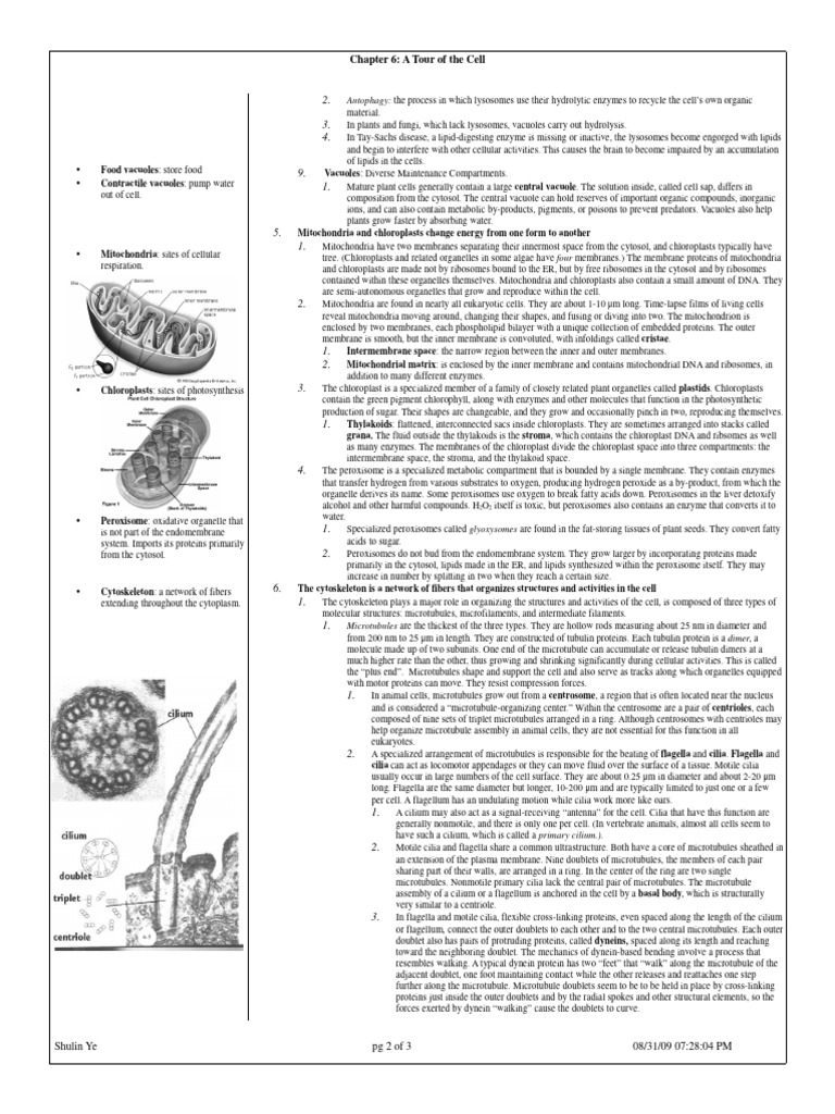 Bio Notes-Part-2 | PDF | Cell Membrane | Chloroplast