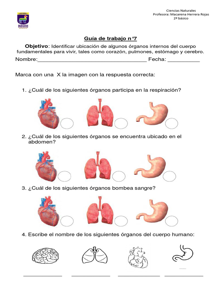 CIENCIAS GUÌA DE TRABAJO 7 | PDF