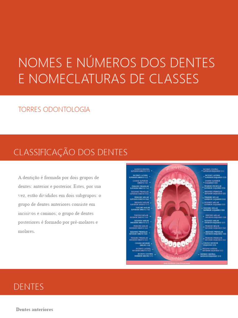 Nomes e Números Dos Dentes e Nomeclaturas de Classes | PDF