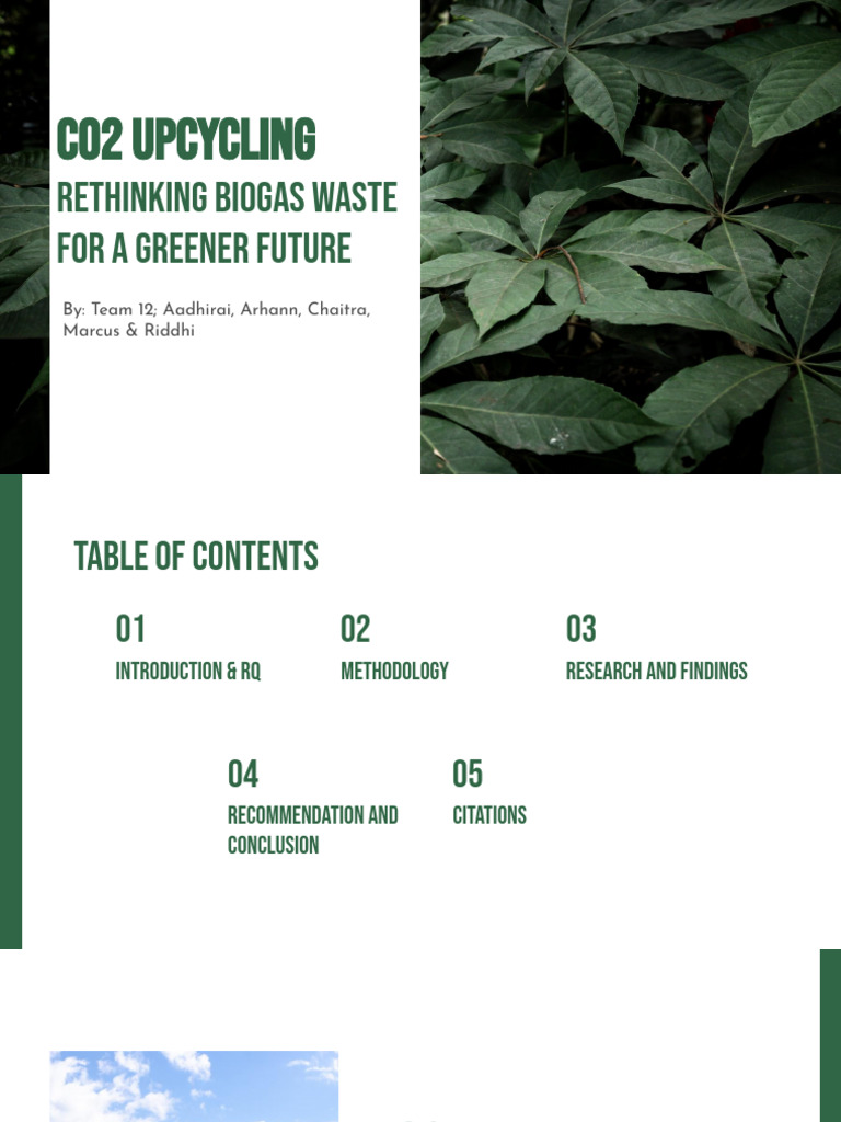 Carbon Dioxide Conversion | PDF