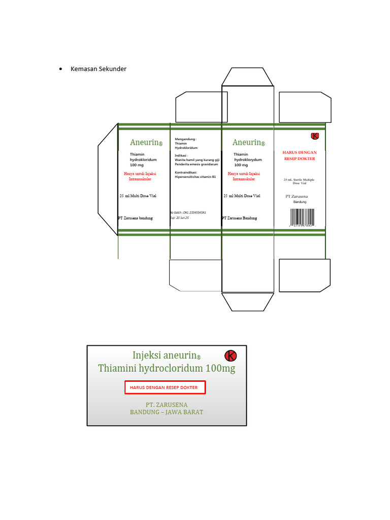 Kemasan Injeksi | PDF