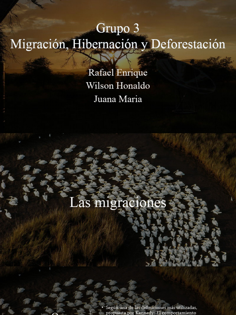 Migración Animal: Causas y Ejemplos | PDF | Migración de aves | Organismos