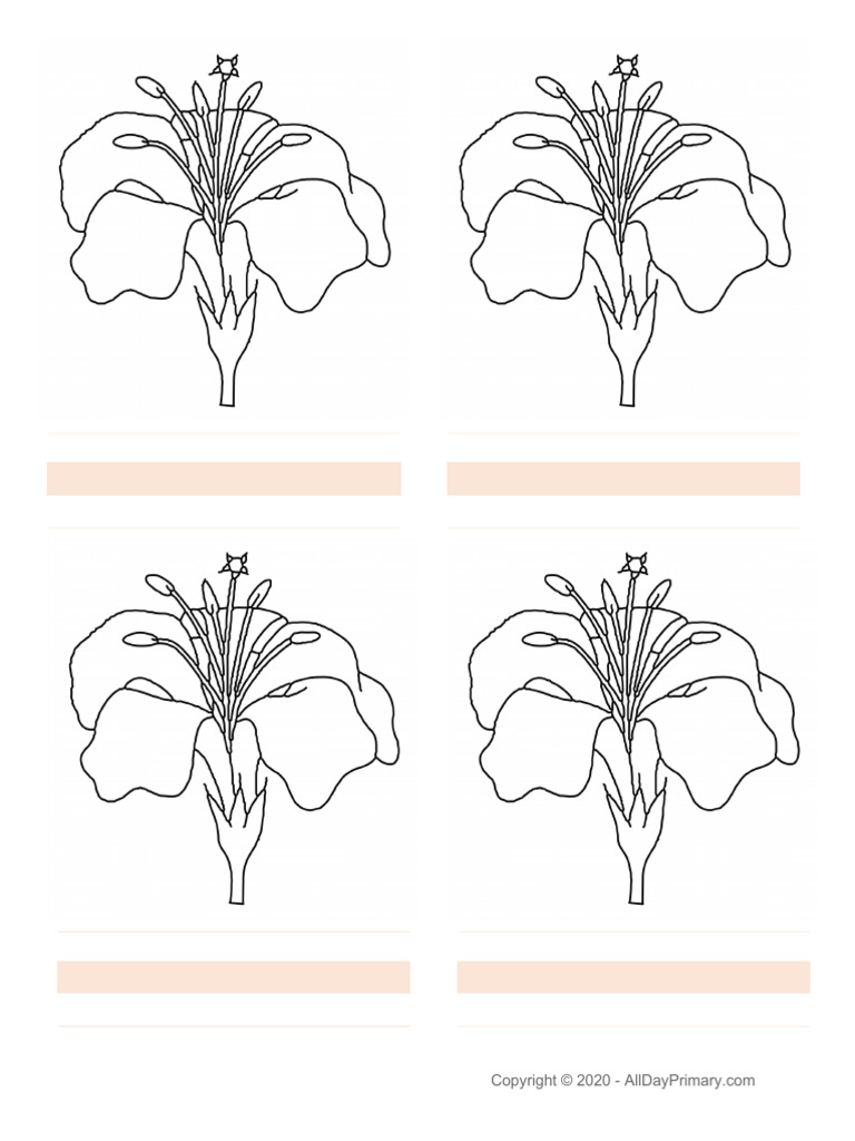 Parts of A Flower Writing Sheets | PDF | Computers