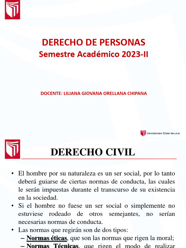 Sesión 1 Importancia Del Derecho Civil | PDF | Derecho Civil (Common Law) | Justicia