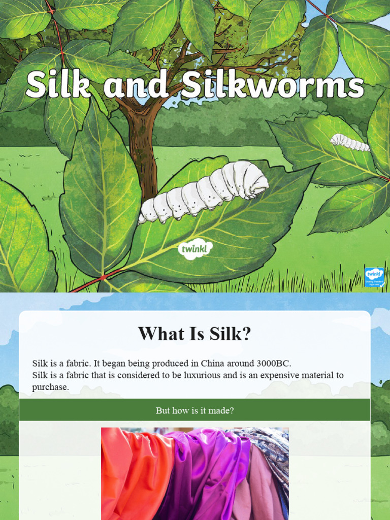 Silk and Silkworms Powerpoint English - Ver - 1 | PDF | Silk | Moth
