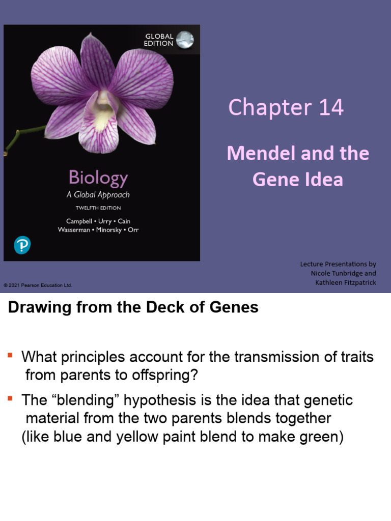 Ch14 Mendel | PDF | Dominance (Genetics) | Zygosity