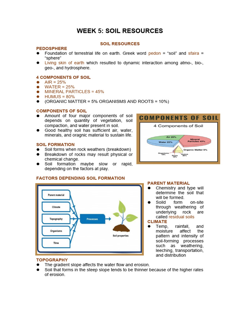 Week 5 Els | PDF | Home & Garden | Technology & Engineering