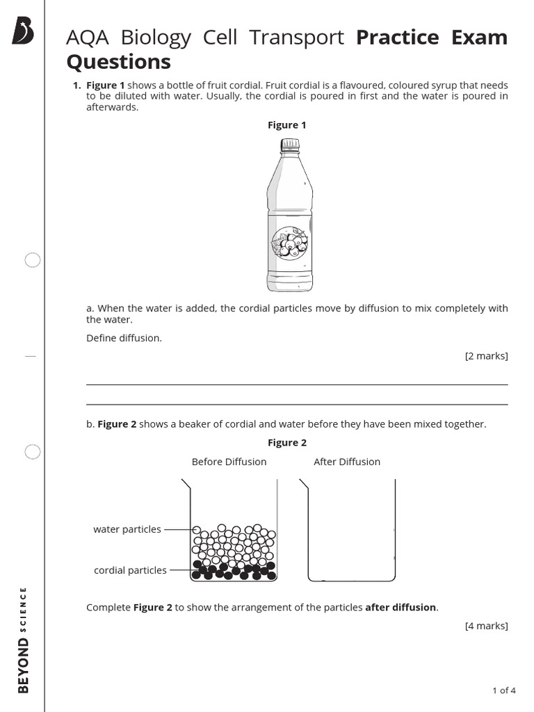 AQA Biology Diffusion Exam Questions | PDF