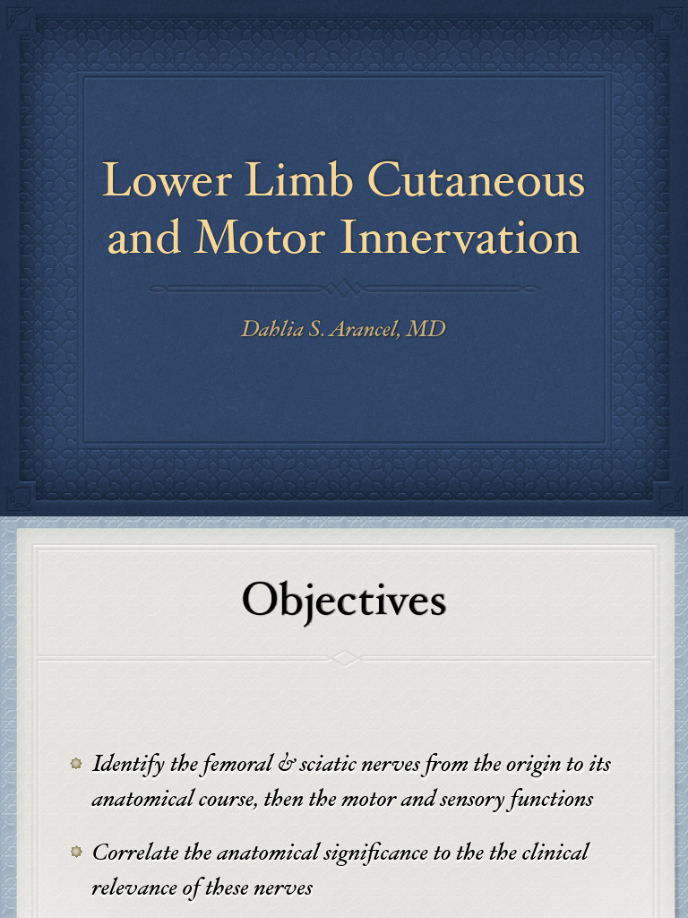 Lower Extremity Sensory and Motor Innervation | PDF | Human Leg | Human ...