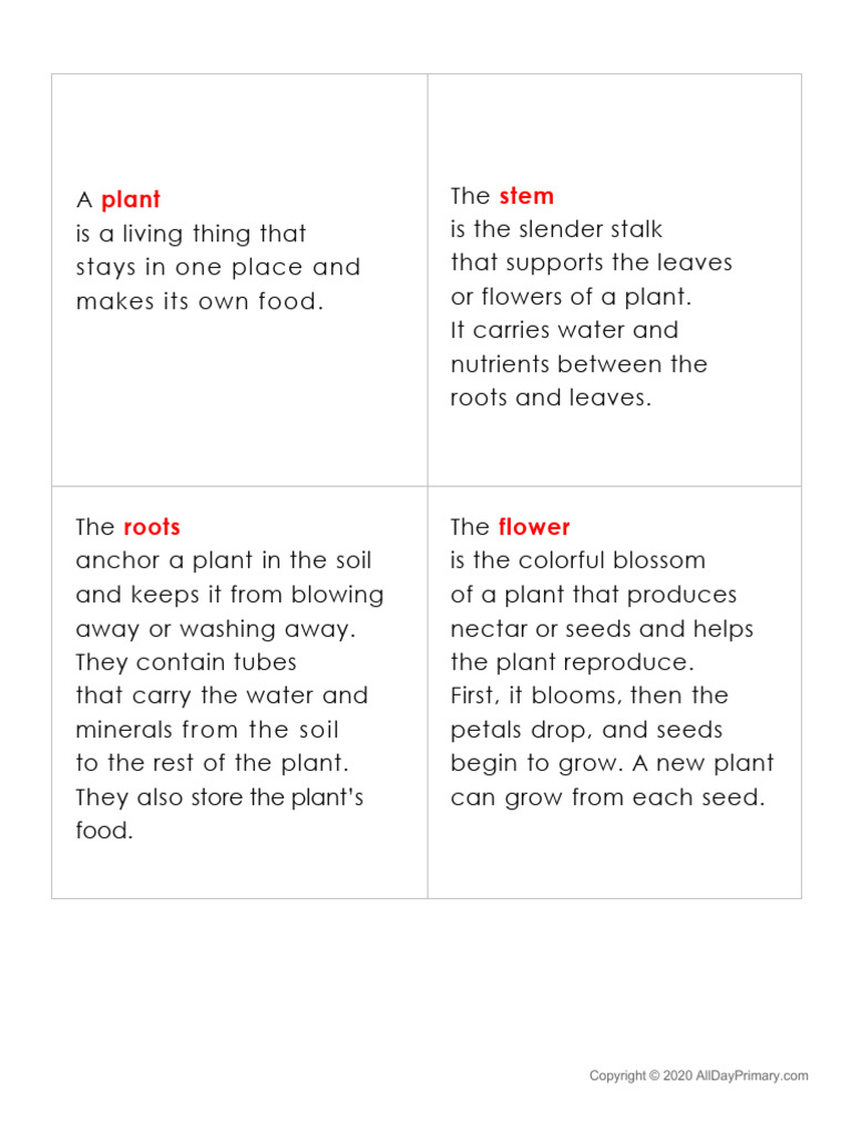 Parts of a Plant Definition Stage of Reading AClassification | PDF
