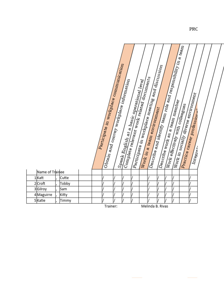 Progress Chart in TMC1-Portfolio | PDF