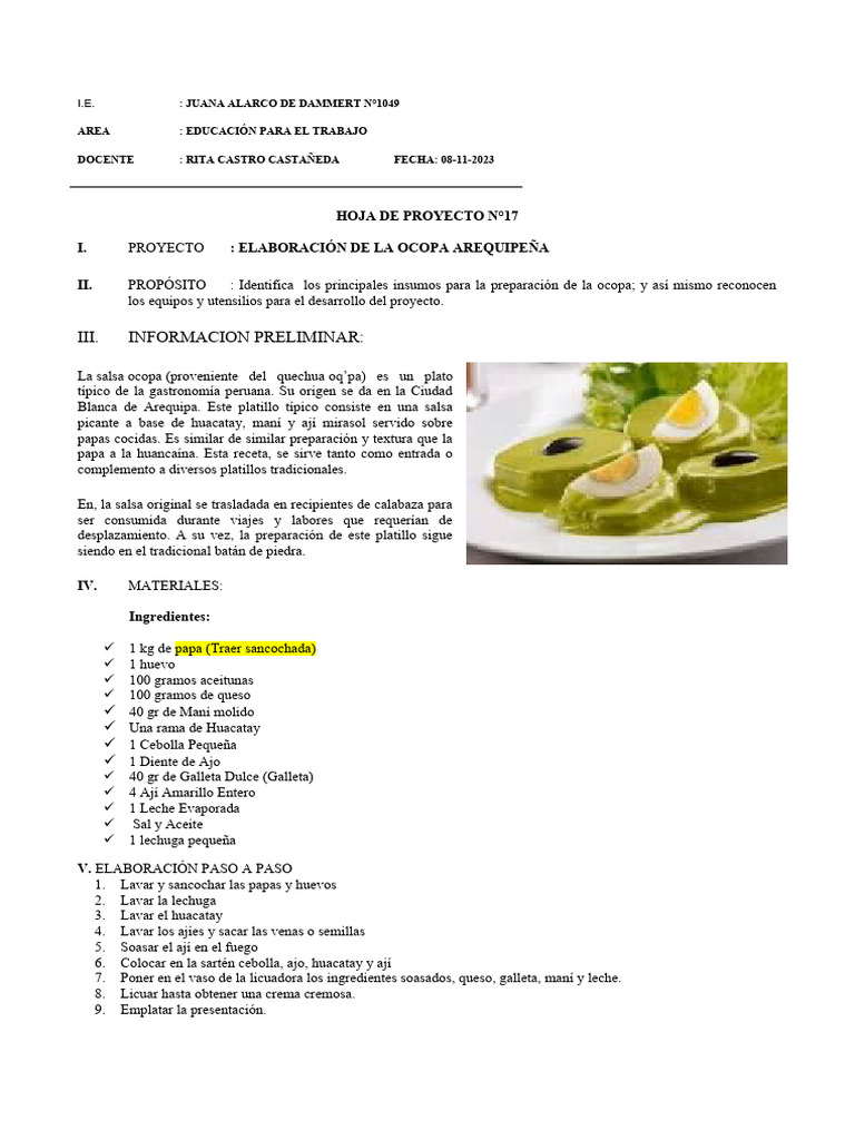 Proyecto 17 Ocopa Pdf