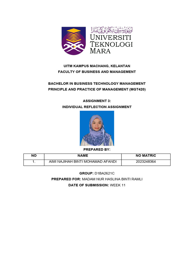 Individual Assignment Reflection | PDF | Leadership | Swot Analysis