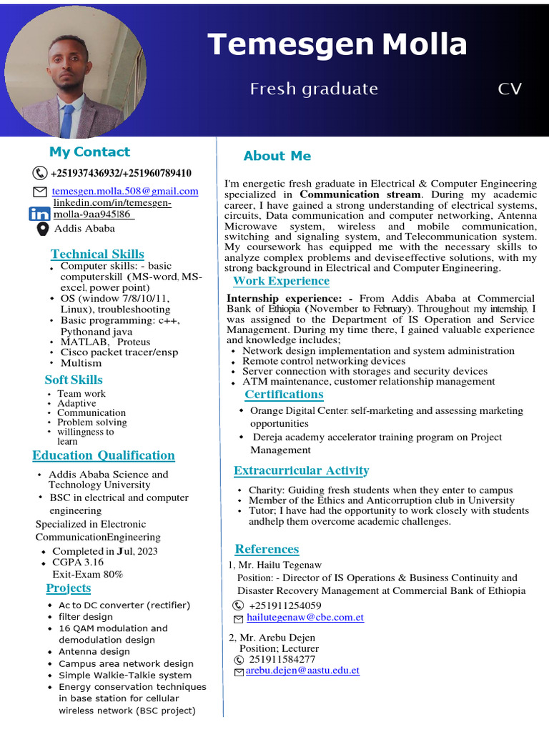 Resume of Temu | PDF