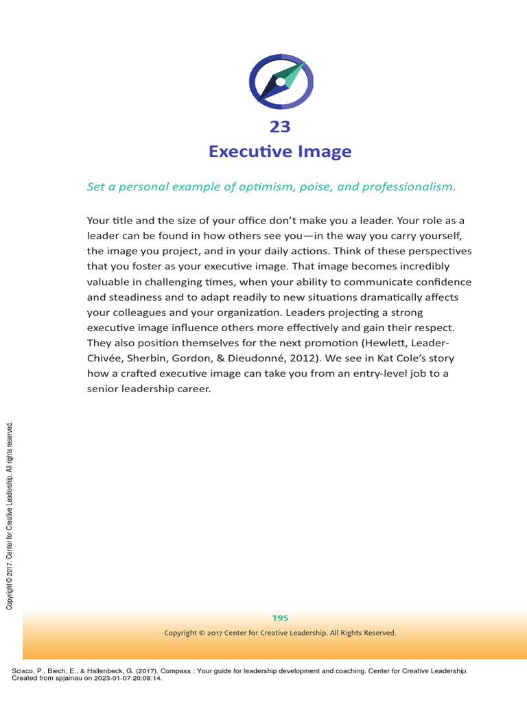 Executive Image | PDF | All Rights Reserved | Human Communication