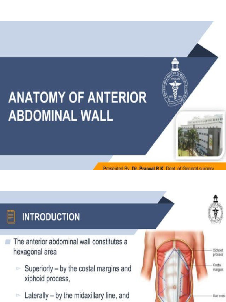 Anterior Abdominal wall of anatomy | PDF