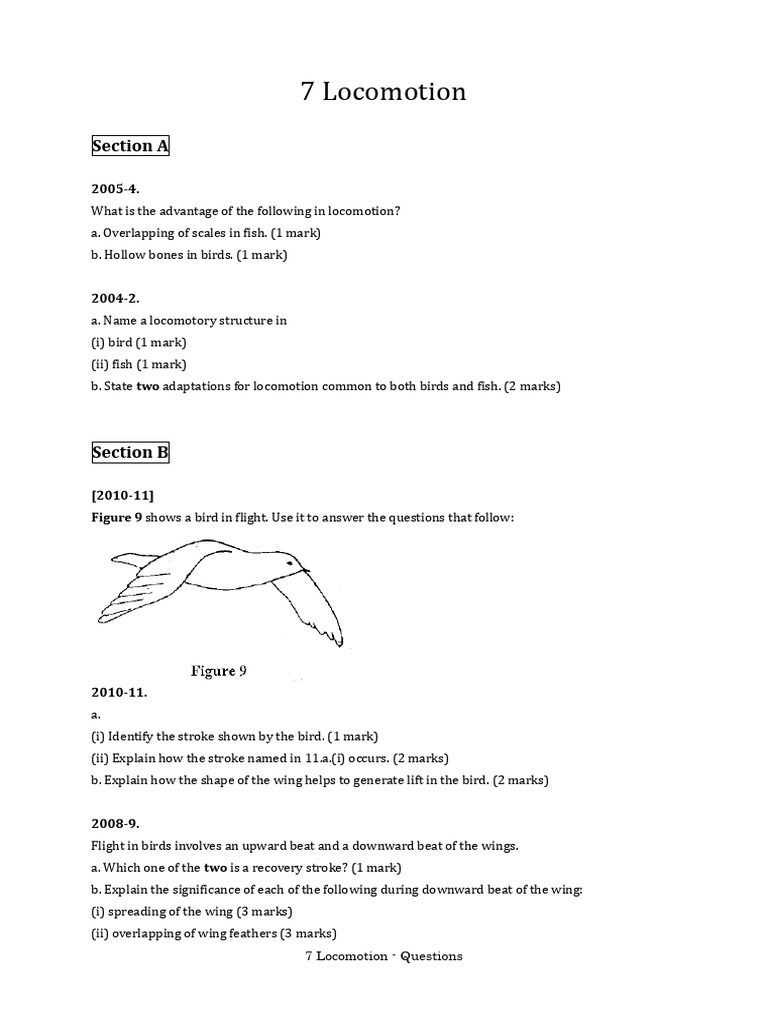 07 Locomotion 1 | PDF