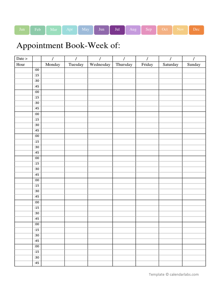 2024 Weekly Appointment Calendar Printable | PDF