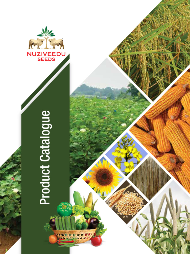 Nuziveedu Seeds Product Overview | PDF | Plant Breeding | Cotton