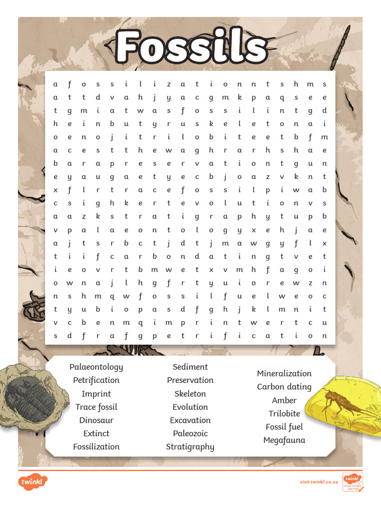 Fossils Wordsearch | PDF