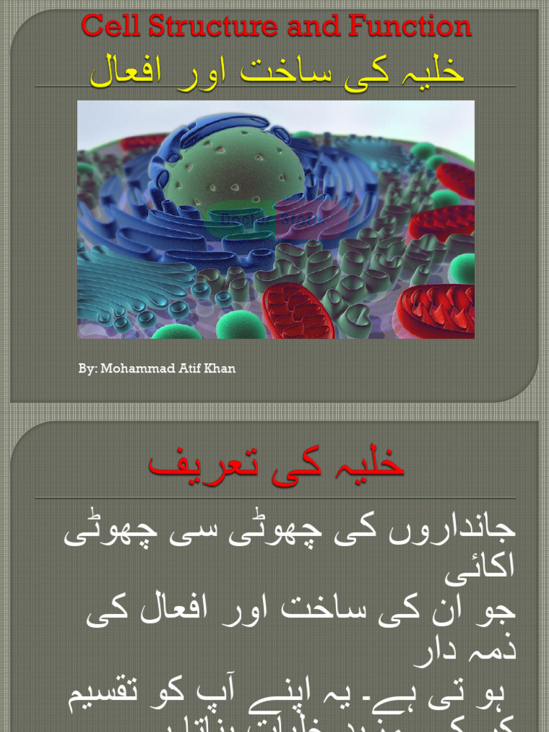 Cell Structure and Function | PDF