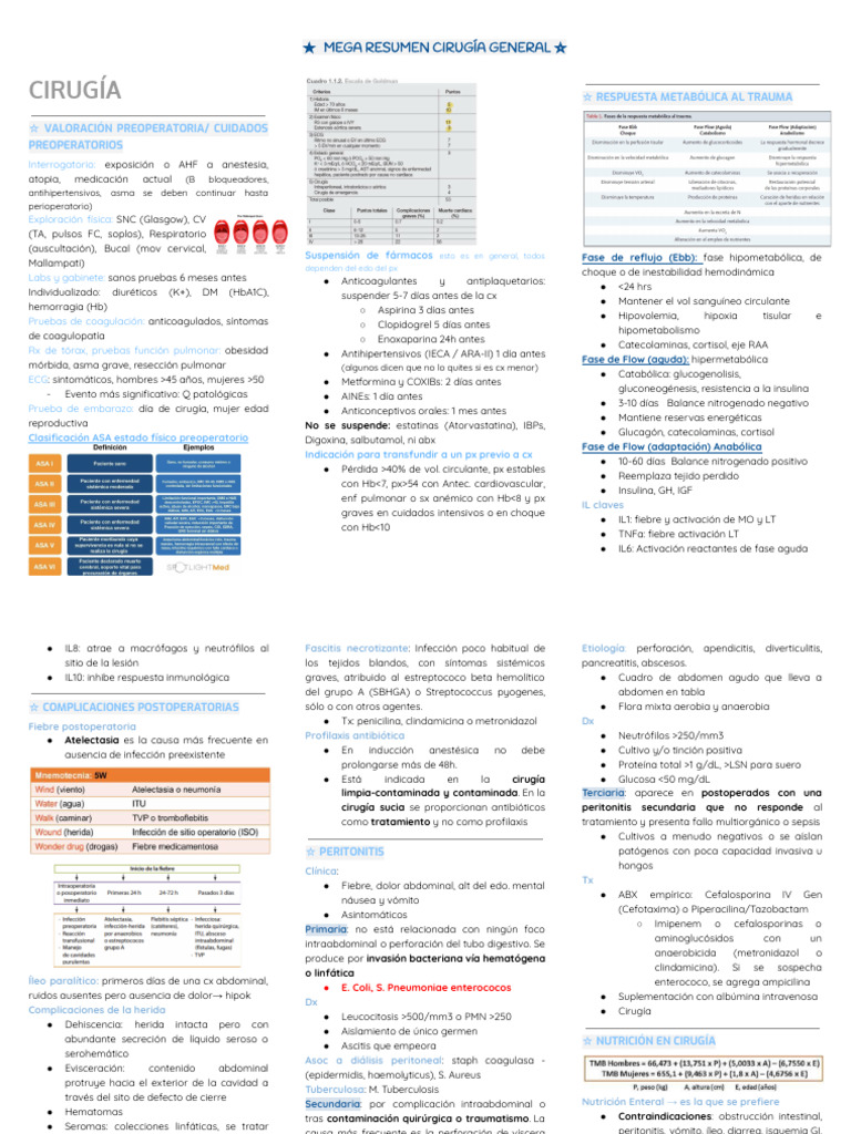 Mega Resumen Cirugía UP | PDF