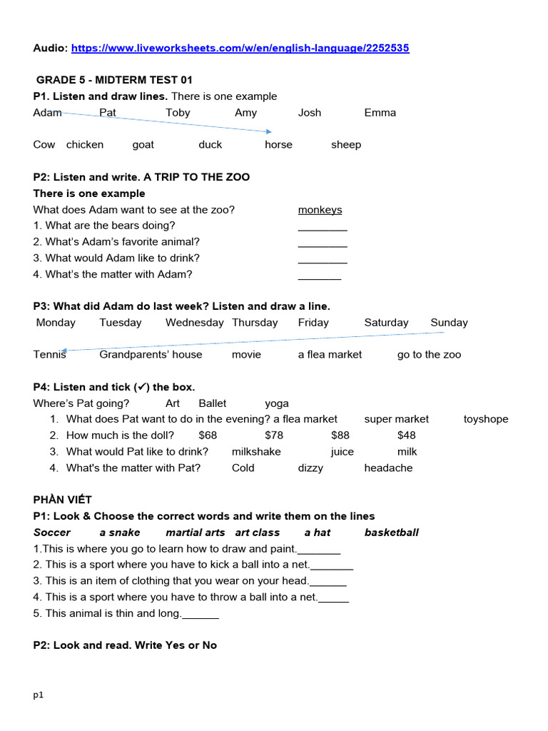 Test 01 (With Audio Link) | PDF