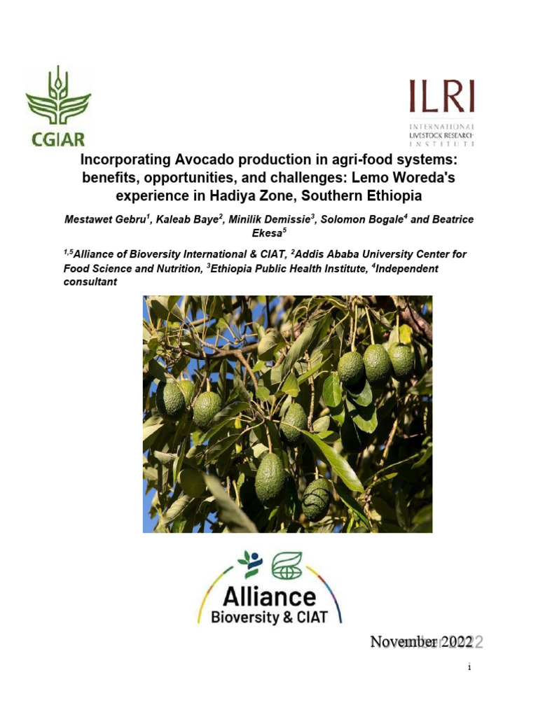 Avocado Study Ethiopia | PDF | Avocado | Agriculture
