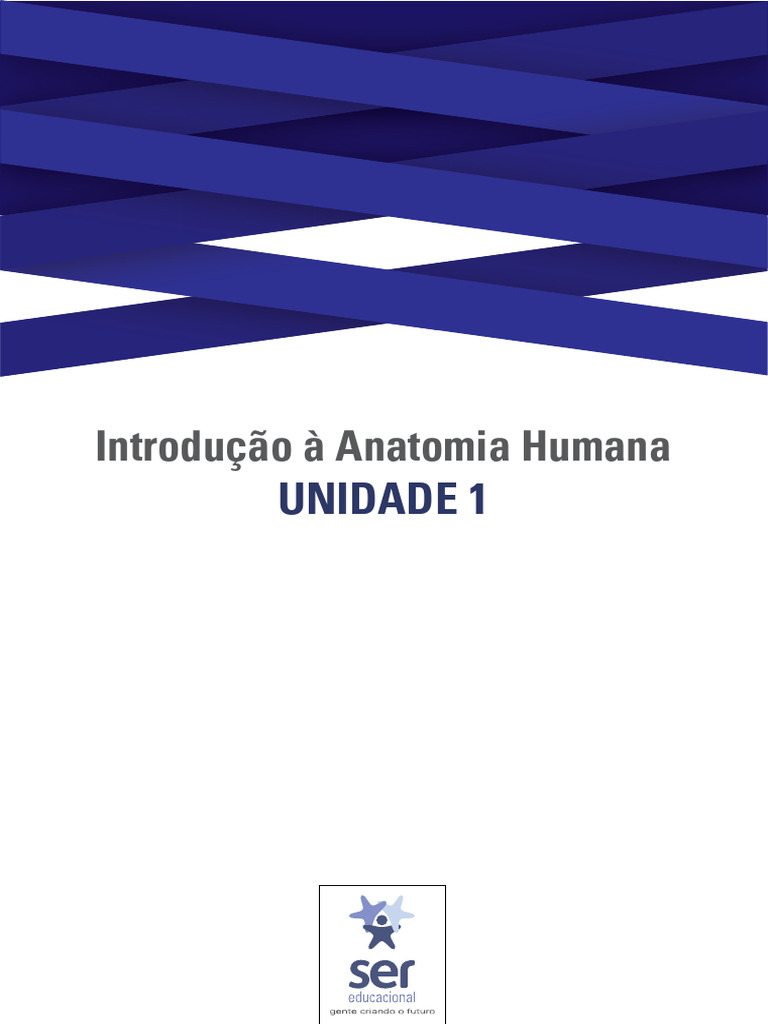 Guia de Estudos Da Unidade 1 - Anatomia Humana | PDF | Músculo ... Guia de Estudos Da Unidade 1 - Anatomia Humana | PDF | Músculo ...